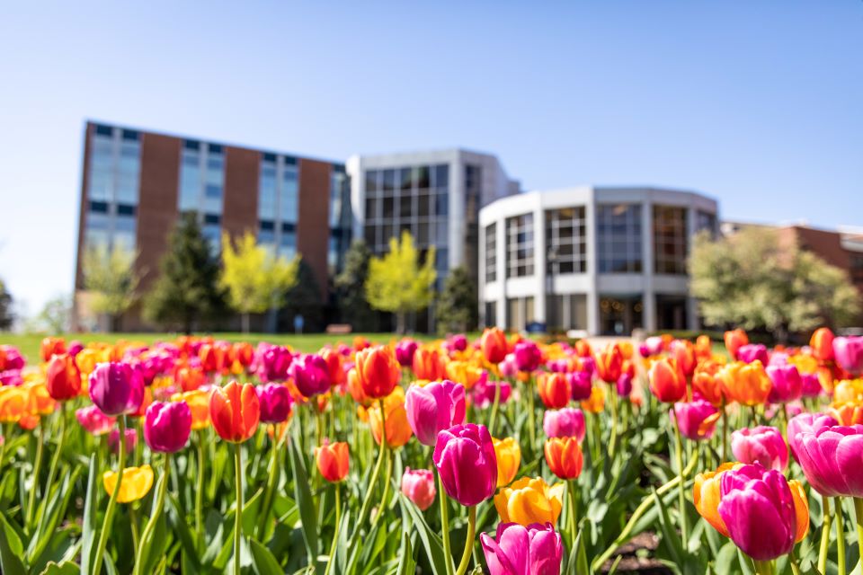 2019 News from Saint Louis University : SLU